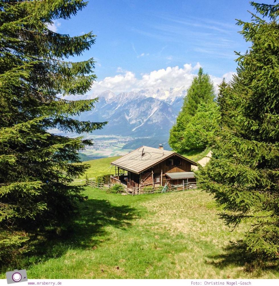 Lamatrekking am Wattenberg in Tirol