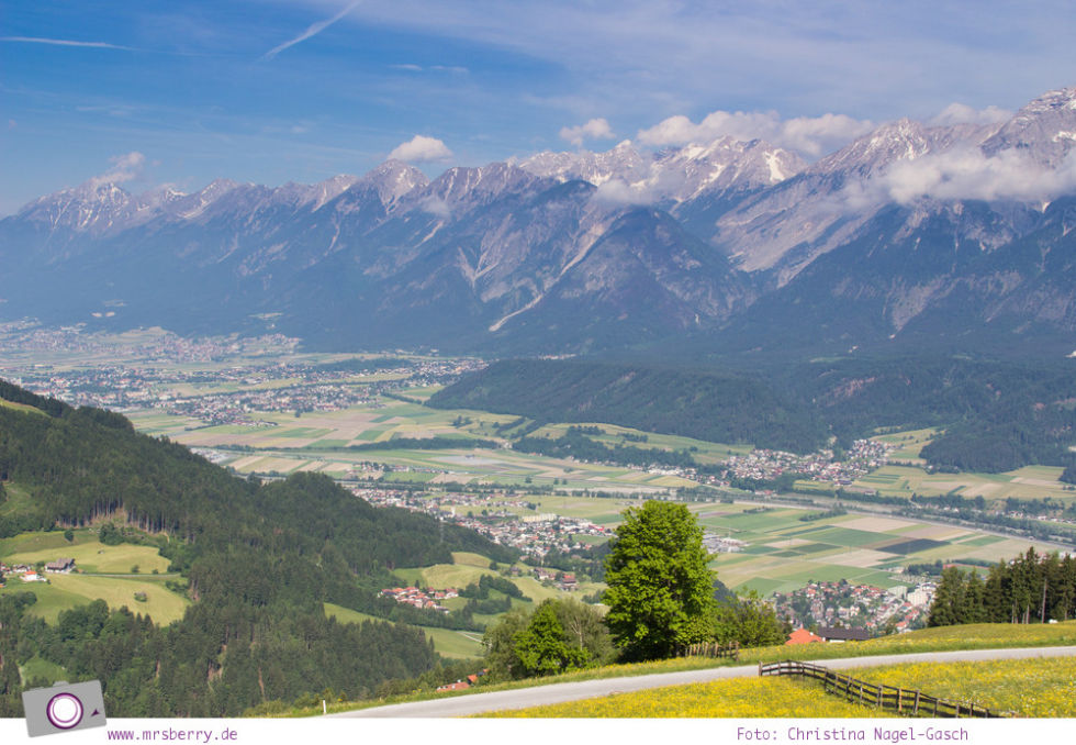 Lamatrekking am Wattenberg in Tirol