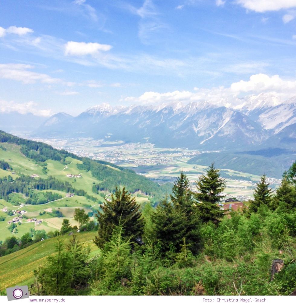 Lamatrekking am Wattenberg in Tirol