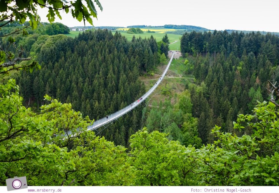 Tagesausflug zu Deutschlands längster Hängeseilbrücke - Geierlay im ...